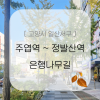 고양시 일산서구 주엽동 ~ 정발산동 은행나무 길 산책 강선마을 1기 신도시 네이버 블로그